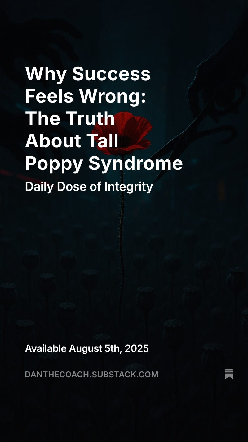 Why Success Feels Wrong: The Truth About Tall Poppy Syndrome | by ...