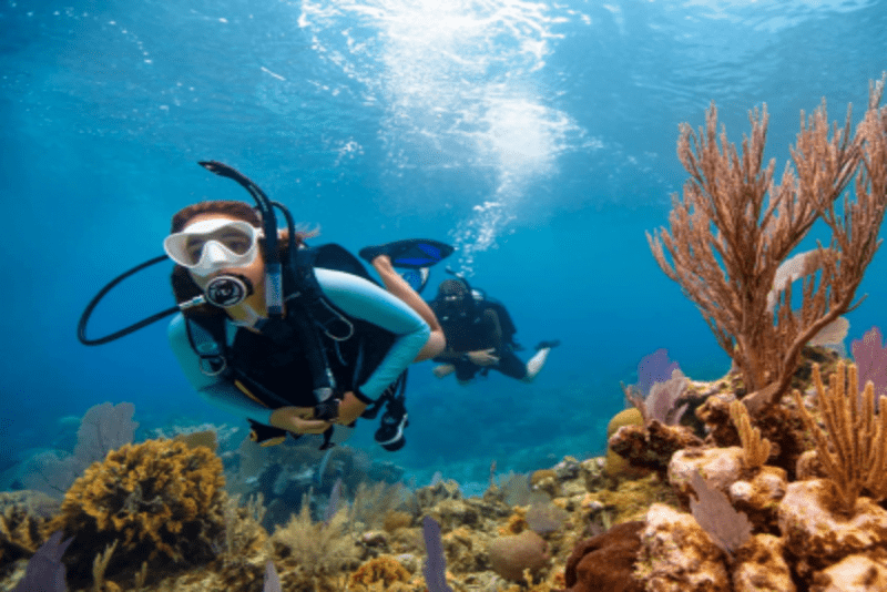 Dive into Adventure: Water Activities with Blue Whale Goa in Goa | by ...