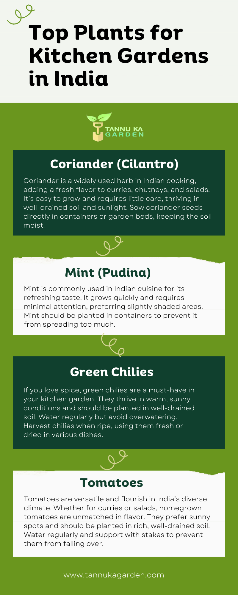 Top Plants for Kitchen Gardens in India - Tannu Ka Garden - Medium