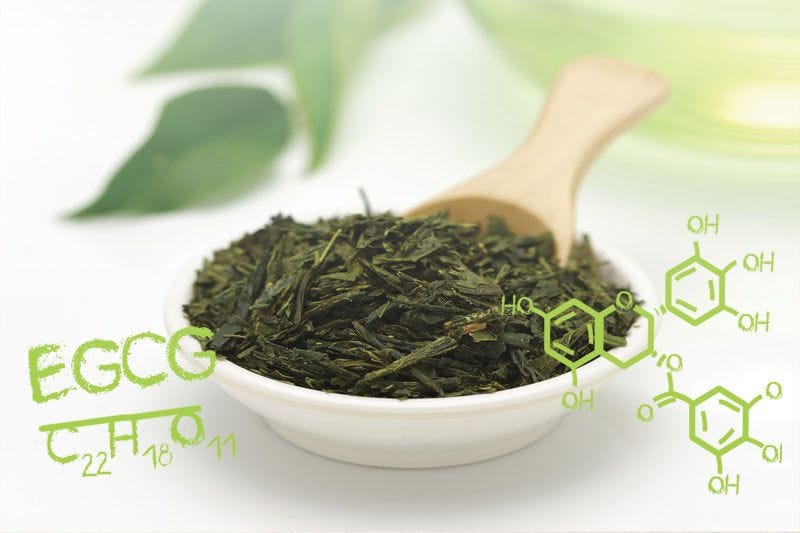 Green Tea Science Part 3: Everything You Need to Know About Green Tea ...