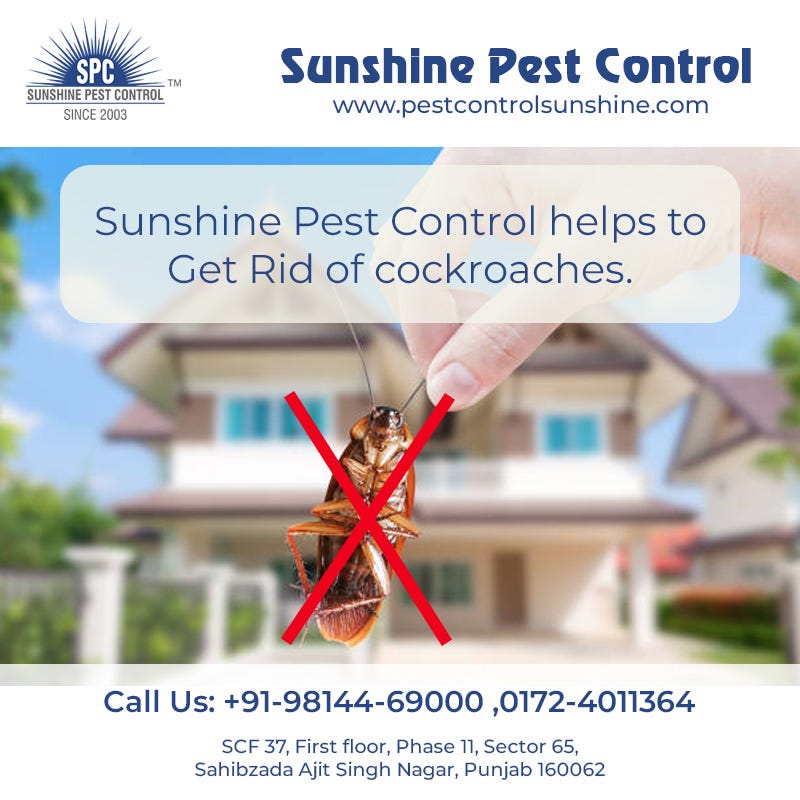 Get Rid Of Cockroaches - Sunshine Pest Control(Mr. Arshi Singh) - Medium