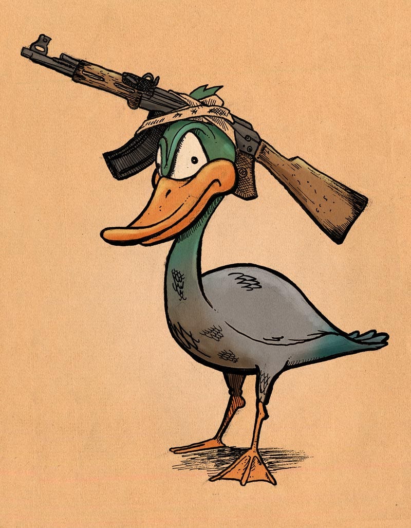 Wild Duck Vader. Or — How Old Innovators Can Wind Up… | by John Wolpert ...