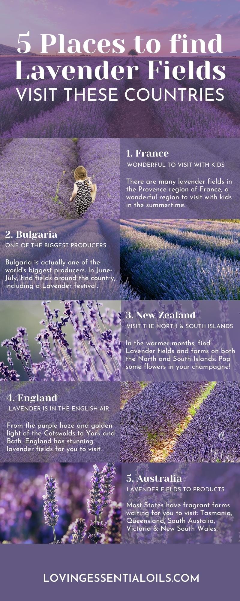5 Places to find Lavender Fields — Where to find lavender in the world ...