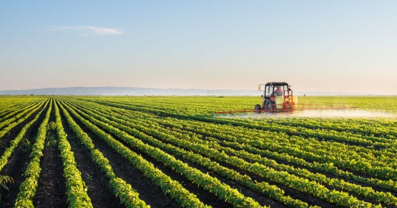 Transforming Nigeria Through Agriculture: A Roadmap for the Next Decade | by Azeez Oluwole ...