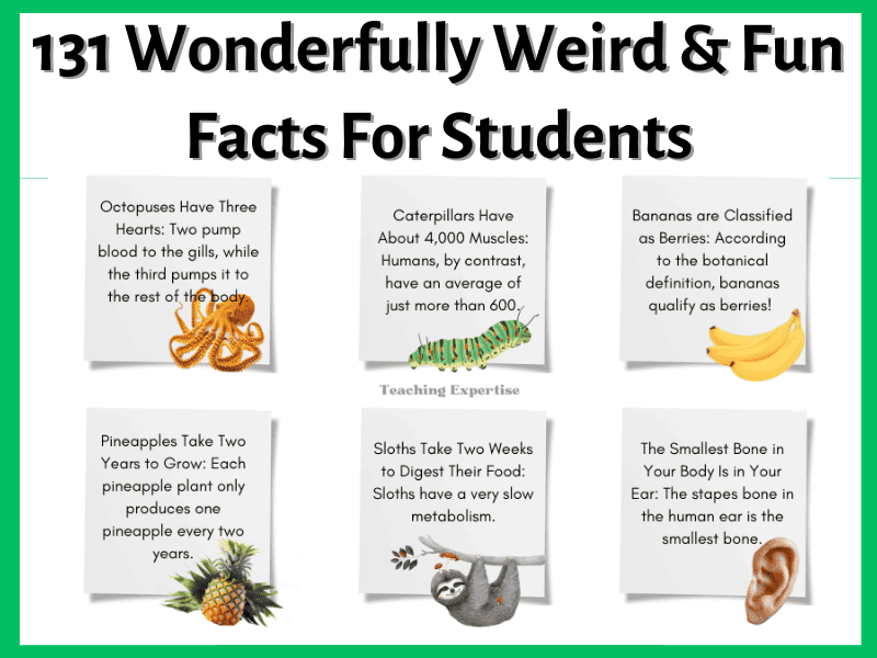 The Amazing World of Facts. Write best subtitles about Facts for… | by ...
