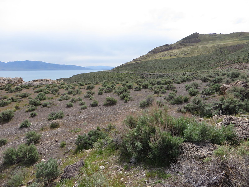Pyramid Lake, Nevada and the Stone Mother | by Suzanne Stormon | Nevada ...