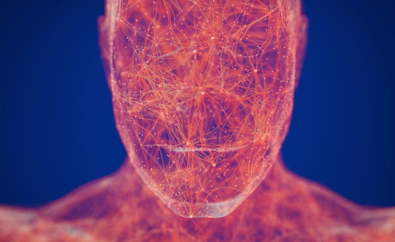Three Keys to Making New Neural Pathways | by The Good Men Project ...