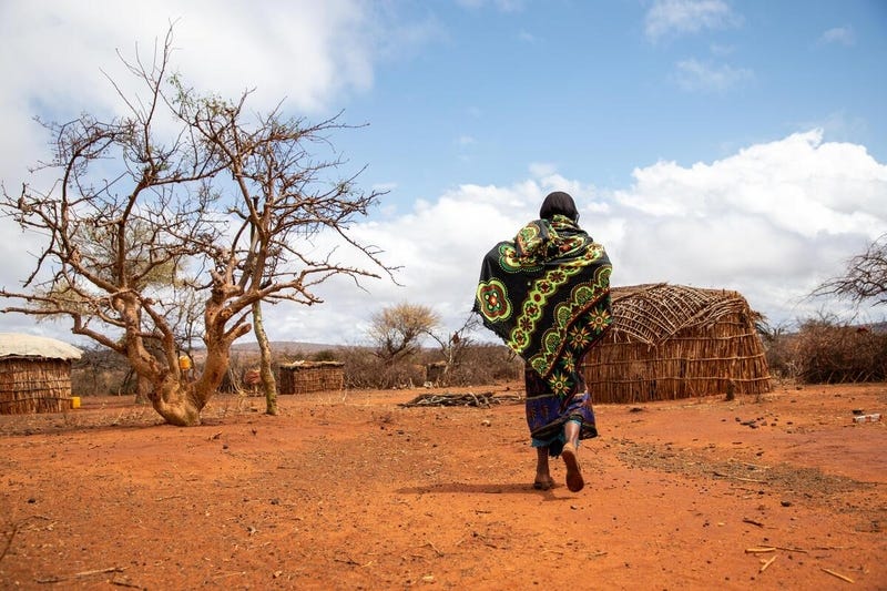 WFP Regional Bureau for Eastern Africa at COP27 | by WFP_Africa | World ...