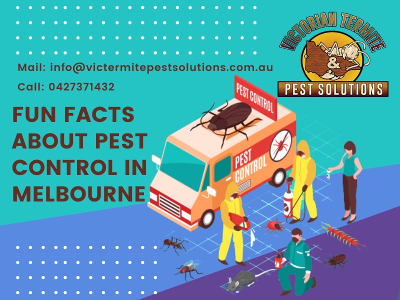 Fun Facts About Pest Control in Melbourne | by ...