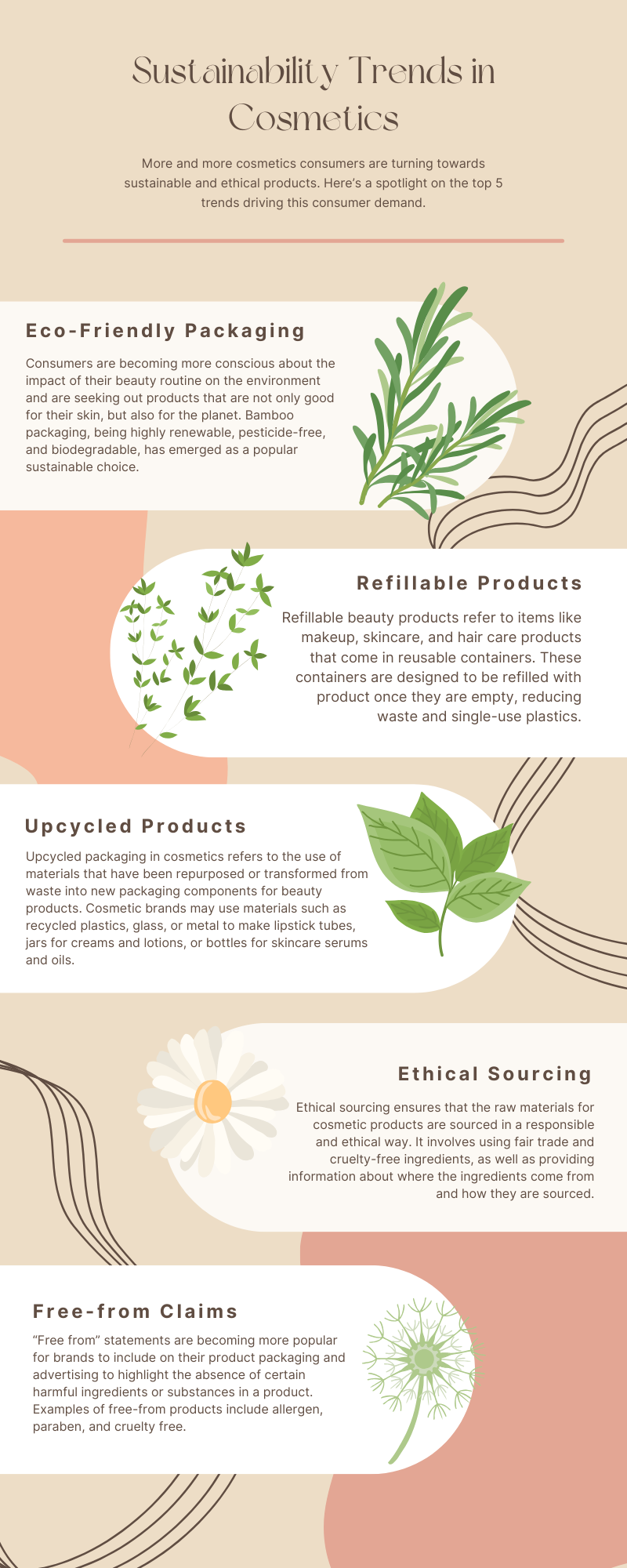 The Sustainable 5: Notable Trends in the Cosmetics Space | by Inside ...