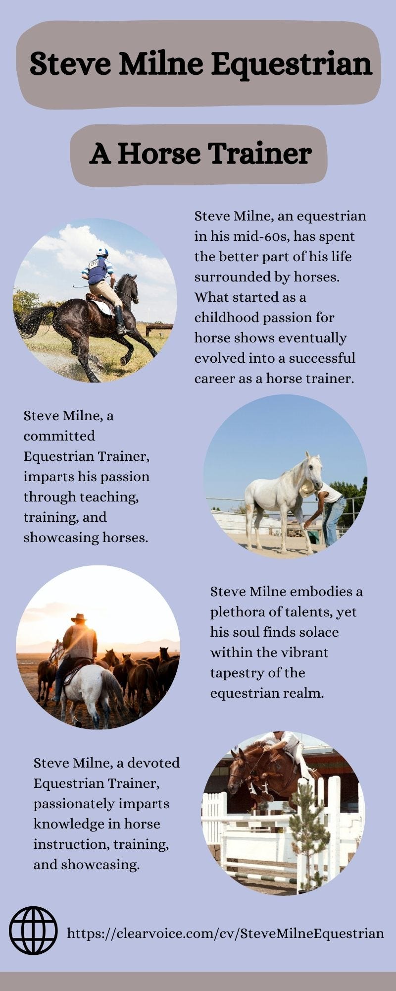 Steve Milne Equestrian — A Horse Trainer - Steve Milne Equestrian - Medium