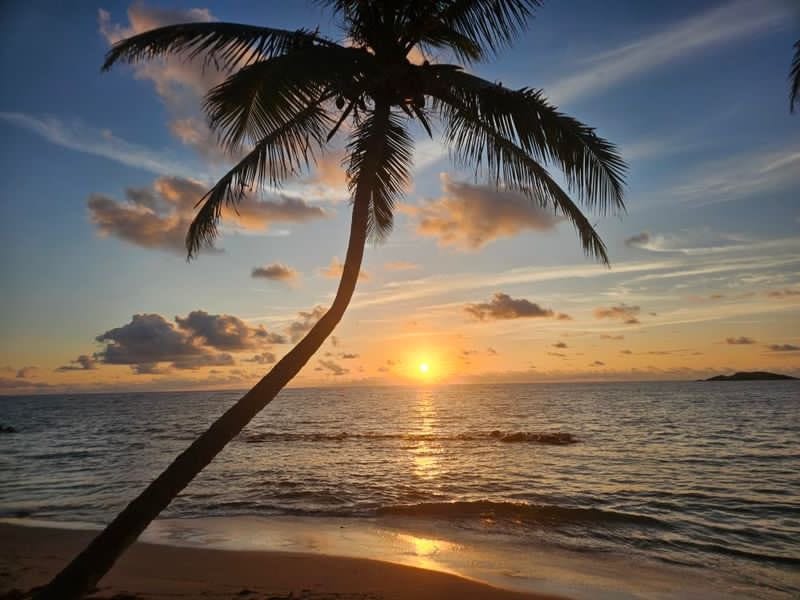 My First All-Inclusive Resort Experience: | by Zach Breiner | ILLUMINATION | Medium