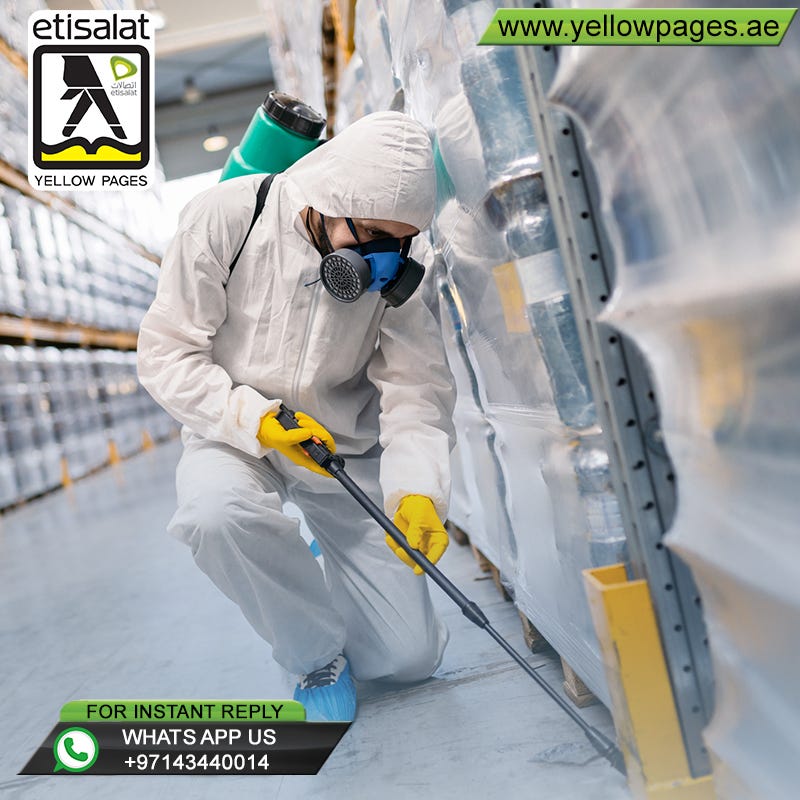 Are you worried about pest and termite damage? You need to control them ...