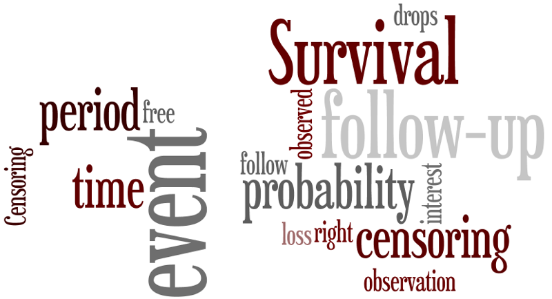 Introduction to Survival Analysis | by Ankur Chourasia | Analytics ...
