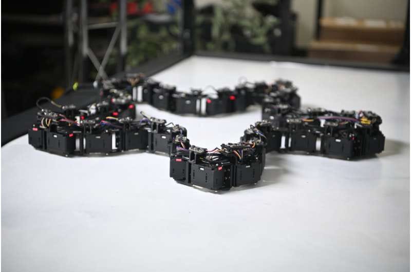 Loopy: the shape-shifting robot. By Sarah Chen, Science and Technology ...
