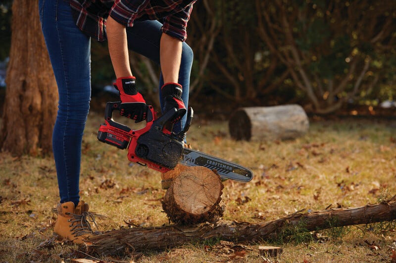 How a Chainsaw Benefits Home owners in Yard and Garden Care ...