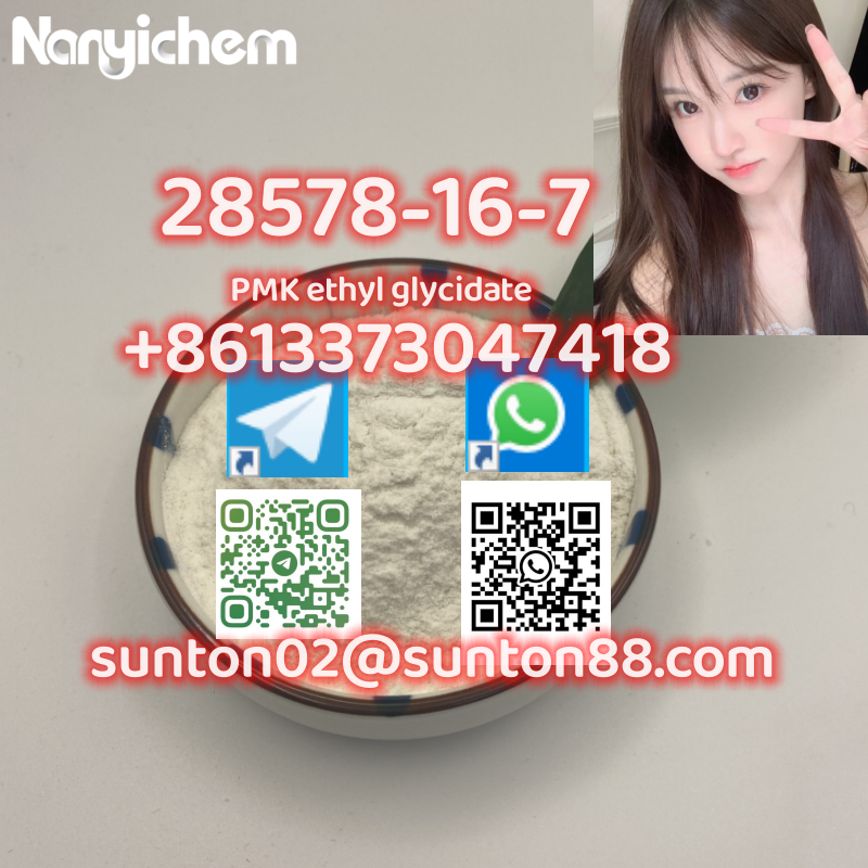 28578–16–7 PMK 缩水甘油酸乙酯 - kira kira - Medium