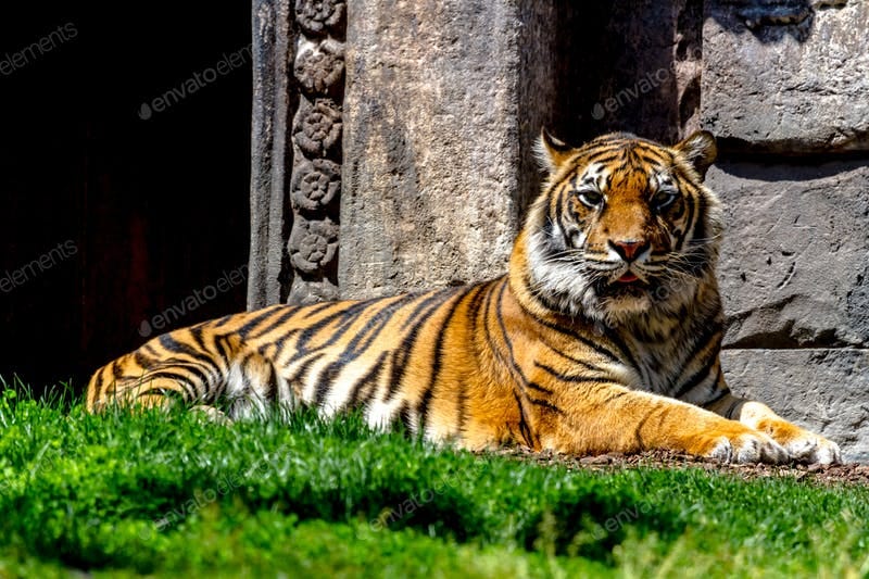 Corbett National Park is the Biggest Tiger Reserve Park in Uttarakhand ...