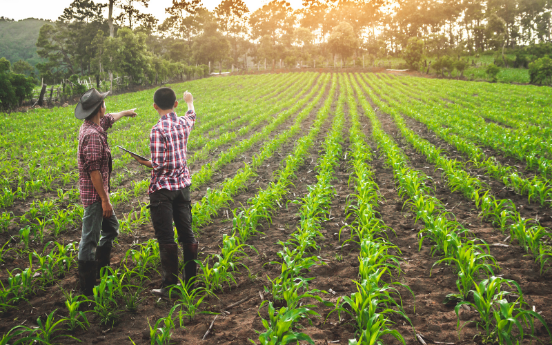 Agriculture and Farming in India: Exploring the Scope of Natural and ...