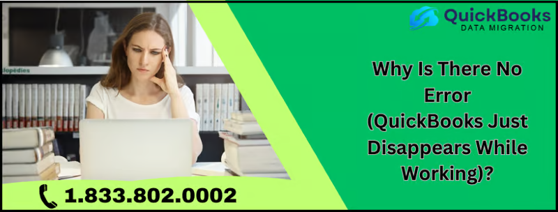No Error (QuickBooks Just Disappears While Working): How to Resolve ...