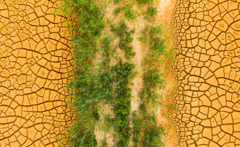 What Is Mass Migration?. Is it something we should worry about? | by ...