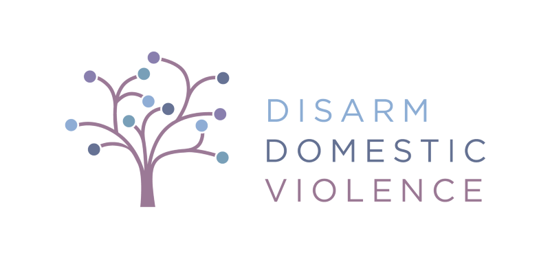 One Year Later: Reflections on Disarm Domestic Violence’s Impact | by ...