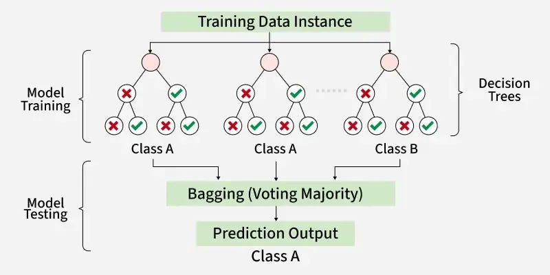 The Power of the Crowd: Mastering Random Forest Classification | by ...