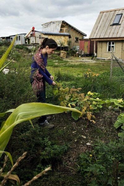 Friland – et bæredygtigt samfund. Dette blogindlæg kommer til at omhandle… | by Anne Beth Svane ...