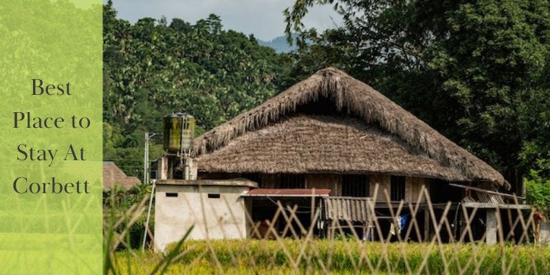 4 Things to Remember While Choosing the Best Place to Stay At Jim ...