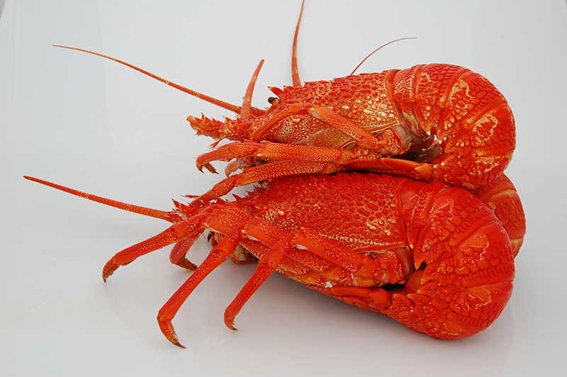 Grammar, schmammar — stop talking cray-cray | by Words, Names and ...