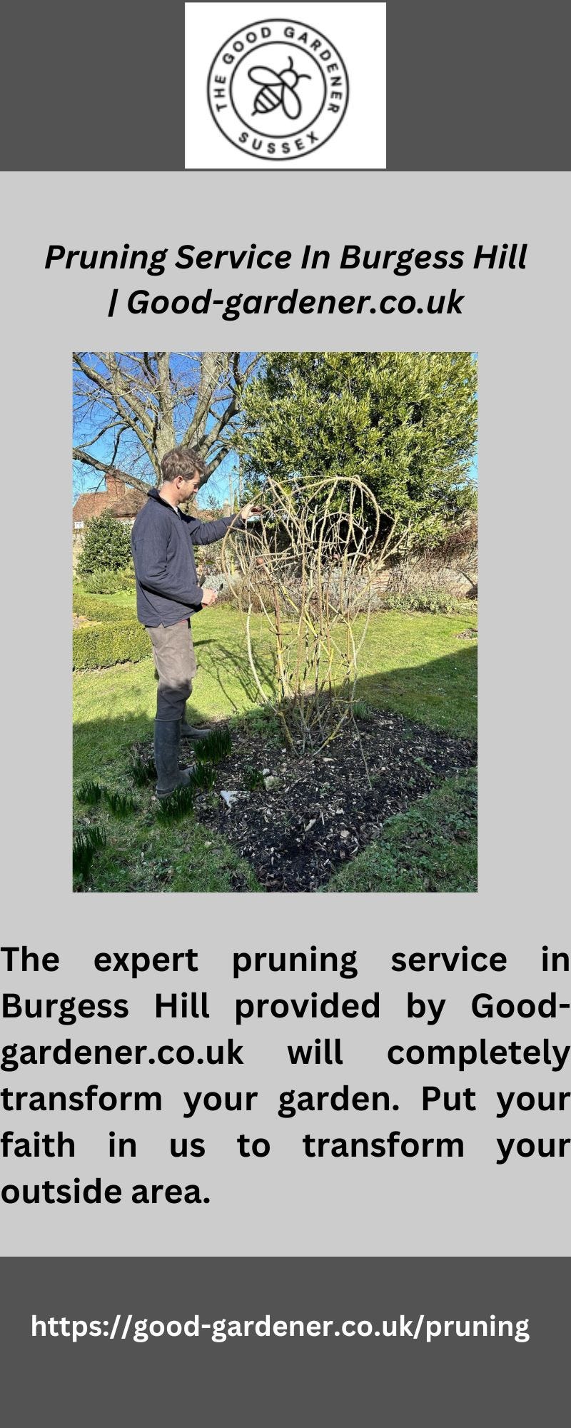 Pruning Service In Burgess Hill | Good-gardener.co.uk - Goodgardener ...