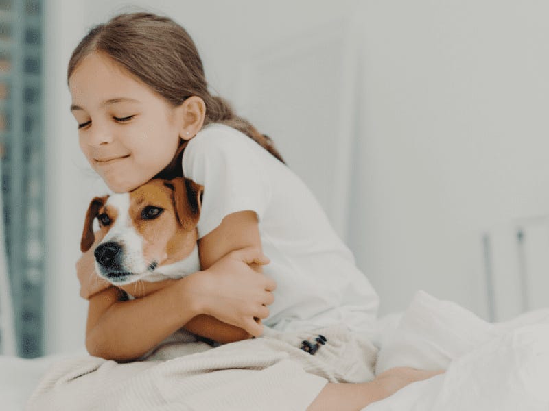 The Art of Raising a Puppy. Click Here To Completely Transform Your ...