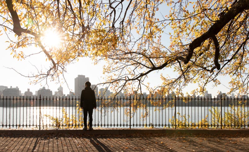 Brain Science, Psychiatry — NYC, Mental Illness, Hospitalization ...