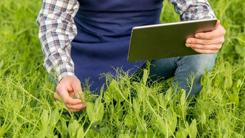 Object Detection In Agriculture Using Computer Vision And Machine… By Saiwa Medium