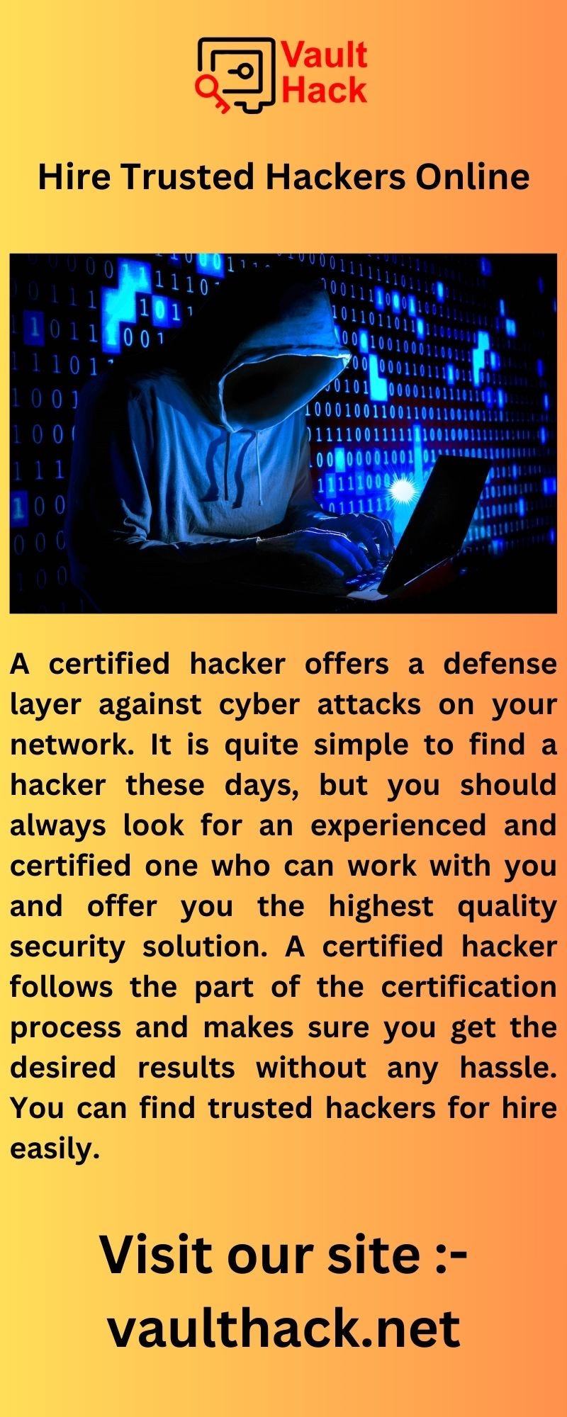 Professional Hackers For Hire | Vaulthack.net - Vault hack - Medium