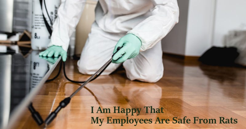 Employees Safe from Rats | Commercial Pest Control | Bug Free Tips
