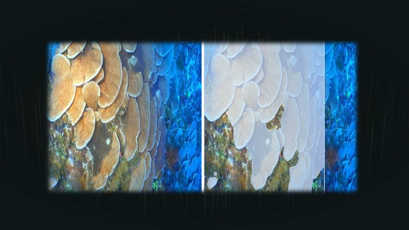 YOLOv8 Instance Segmentation: Custom Training Guide | Medium