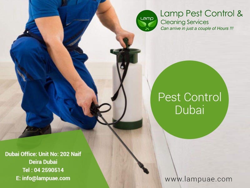 pest control companies Dubai - tonyless - Medium