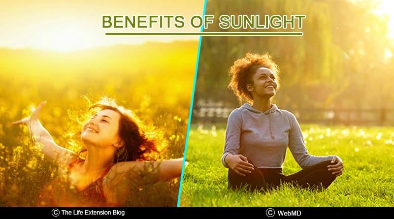 Benefits of Sunlight. There are not one however several edges… | by ...