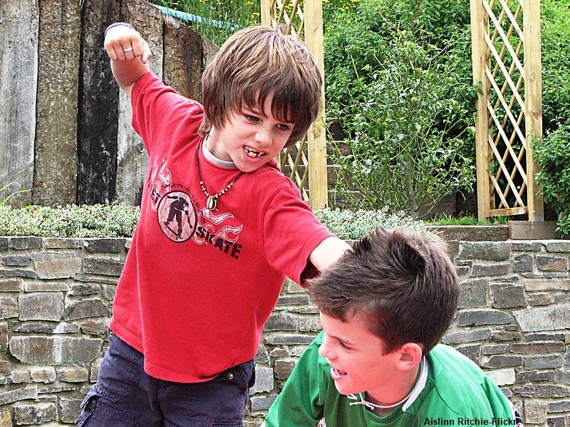 Sibling Bullying and Abuse: The Hidden Epidemic | by Darlene Lancer ...