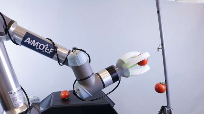 Soft robot fingers that can carefully squeeze without sensors. | by ...