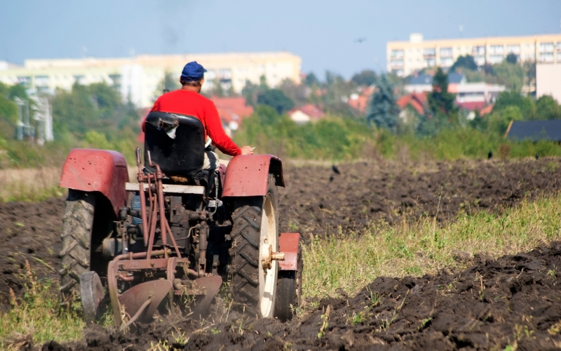 Embracing Sustainable and Organic Farming: Revolutionizing Agriculture in India | by agroniv ...