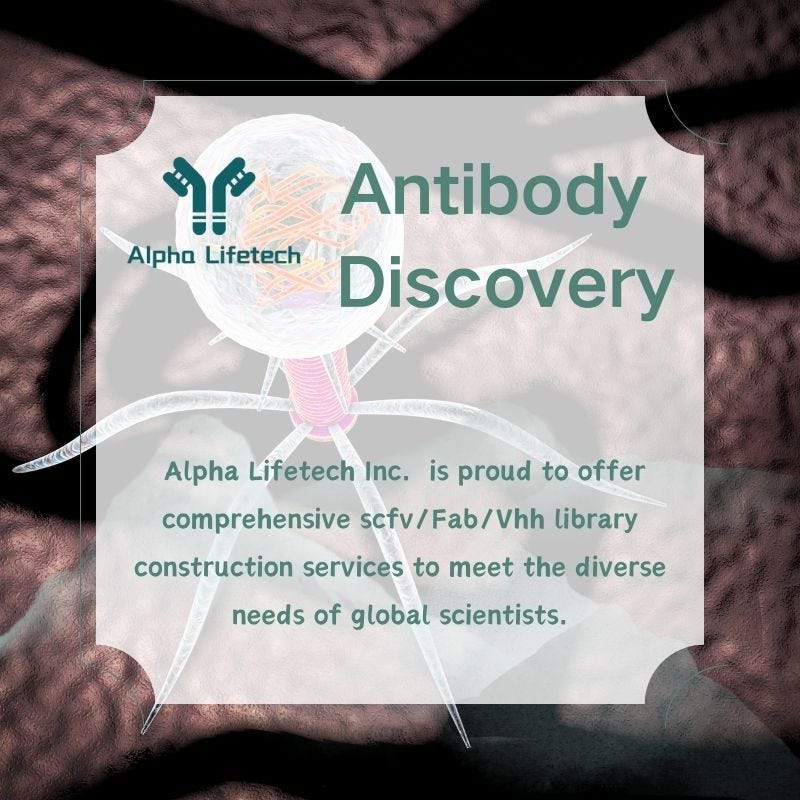 Alpha Lifetech Understanding the Fab Region of Antibodies: Molecular ...