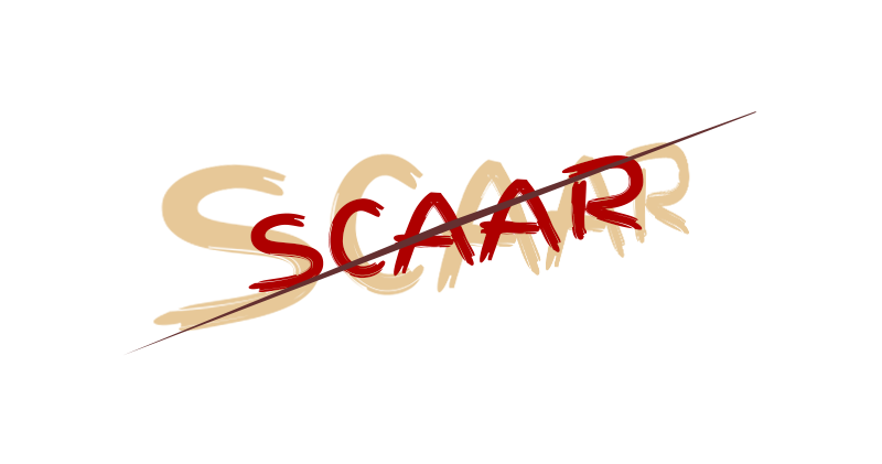 SCAAR — Software Design Principles for CSS | by Jon Dewitt | Level Up ...