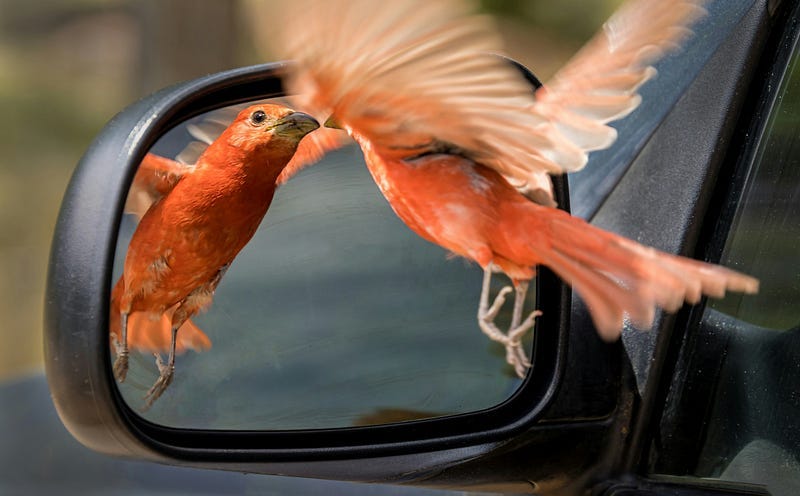 How to Stay True to Your Dreams When Time Tries to Change You | by ...
