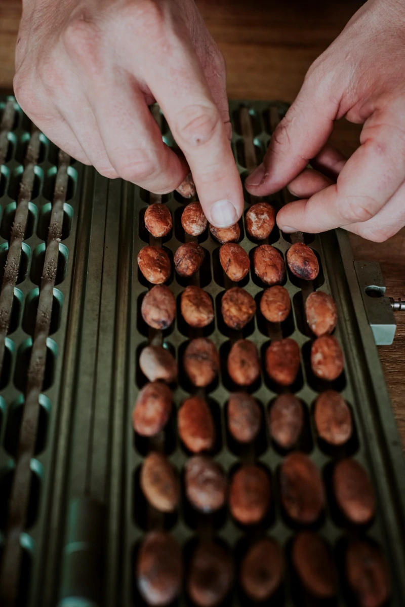 Chocolate Covered Cacao Beans - CoBē Snacks - Medium