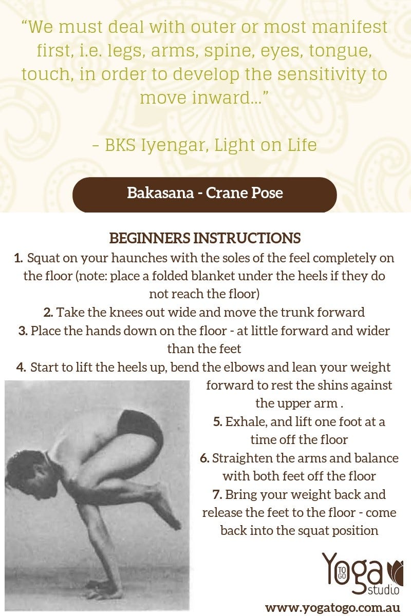 Spotlight on: Bakasana. This arm balance resembles a crane (a… | by ...