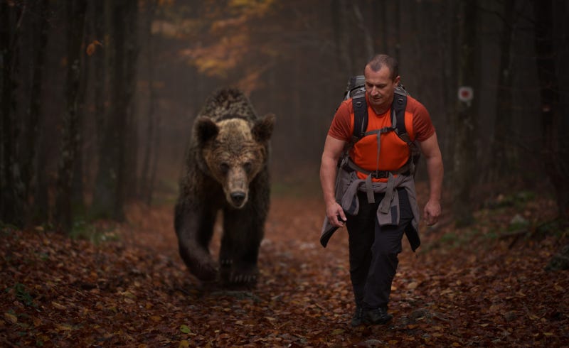 Man Vs Bear: A Low Bar. How have I been a source of fear and… | by The ...