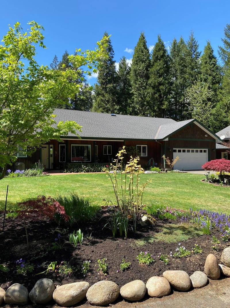 The Day I Realized my Home was a Rehab Center | by Kail Harbick | The Dove | Medium