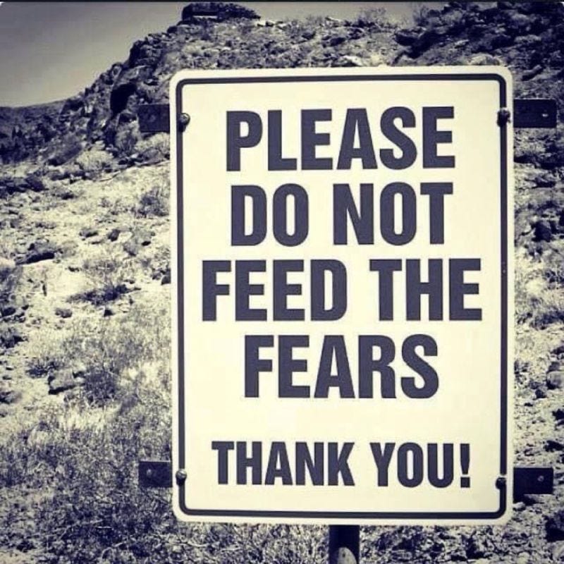 Do Not Feed the Fears: Cultivating a Life Beyond the Shadows of Doubt ...